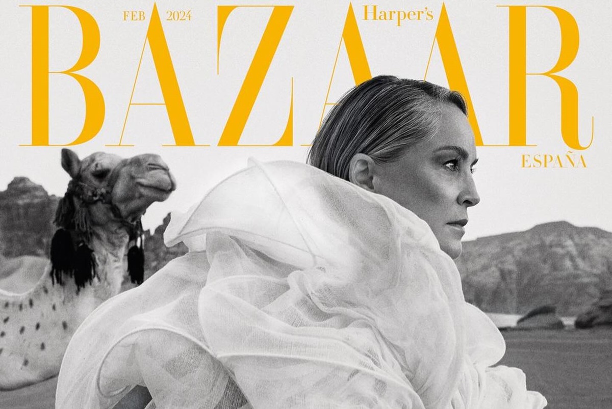Sharon Stone: Upoznala sam smrt izbliza... - Žene.ba